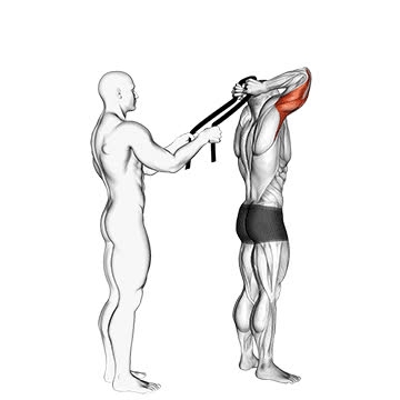 Standing Tricep Extension With Towel And Partner Resistance - How To ...
