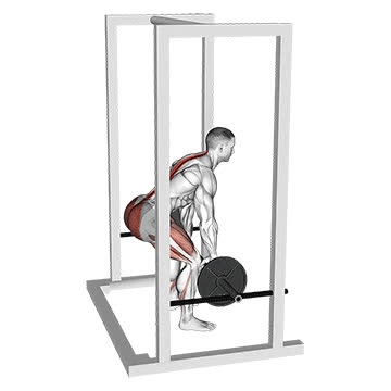 Barbell Rack Pull - How To, Muscles Worked, Form Cues, Variations | Pumpd