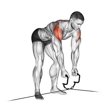 Cable Crossover Reverse Fly - How To, Muscles Worked, Form Cues ...
