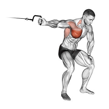 Cable Single-Arm Lateral Bent Over Chest Fly - How To, Muscles Worked ...