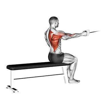 Cable Seated Single-Arm Alternating Row - How To, Muscles Worked, Form ...