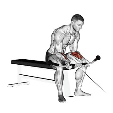 Cable Wrist Curl - How To, Muscles Worked, Form Cues, Variations | Pumpd