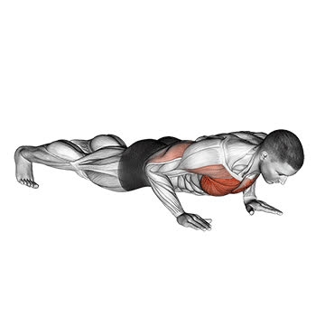 Clock Push-Up - How To, Muscles Worked, Form Cues, Variations | Pumpd