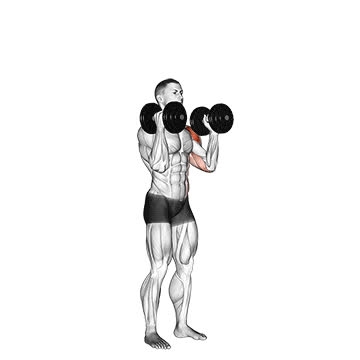 Dumbbell Alternating Side Press - How To, Muscles Worked, Form Cues ...