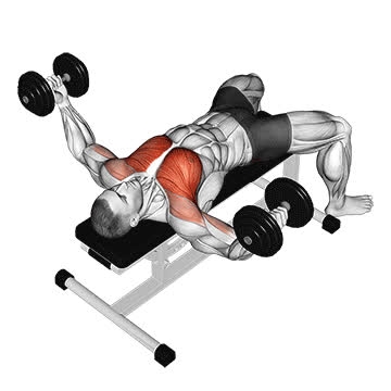 Dumbbell Chest Fly - How To, Muscles Worked, Form Cues, Variations | Pumpd