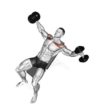 Dumbbell Incline Fly - How To, Muscles Worked, Form Cues, Variations ...