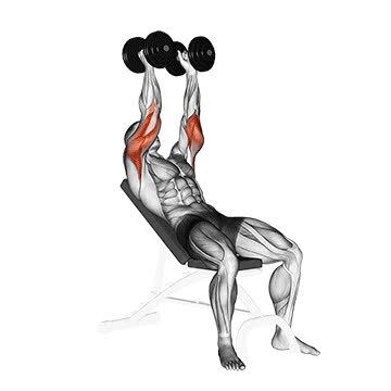 Dumbbell Incline Tricep Extension - How To, Muscles Worked, Form Cues ...