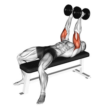Dumbbell Lying Hammer Tricep Extension - How To, Muscles Worked, Form ...
