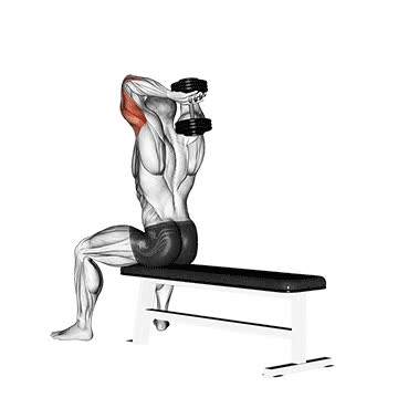 Dumbbell Seated Two-Hand Tricep Extension - How To, Muscles Worked ...