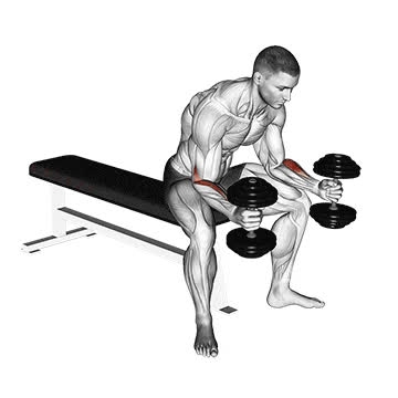 Dumbbell Seated Neutral Wrist Curl - How To, Muscles Worked, Form Cues ...