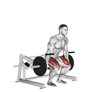 Machine Deadlift (Plate Loaded) - How To, Muscles Worked, Form Cues ...