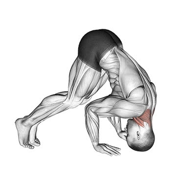 Prone Neck Bridge - How To, Muscles Worked, Form Cues, Variations | Pumpd