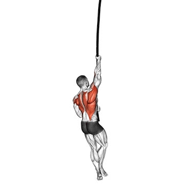 Rope Climb - How To, Muscles Worked, Form Cues, Variations | Pumpd