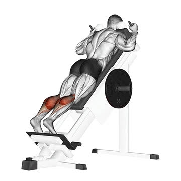 Forward Angled Calf Raise - How To, Muscles Worked, Form Cues ...