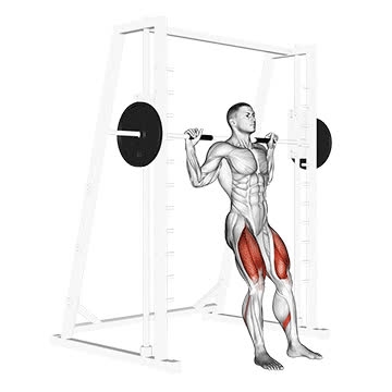 Smith Machine Chair Squat - How To, Muscles Worked, Form Cues ...