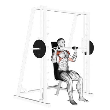 Smith Machine Seated Shoulder Press - How To, Muscles Worked, Form Cues ...