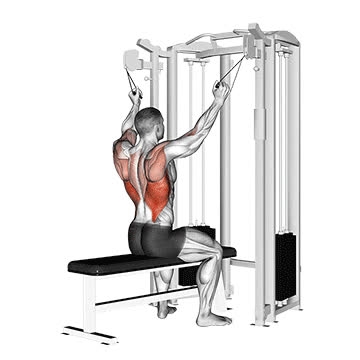 Twin Handle Parallel-Grip Lat Pulldown - How To, Muscles Worked, Form ...