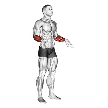 Wrist Circle - How To, Muscles Worked, Form Cues, Variations | Pumpd