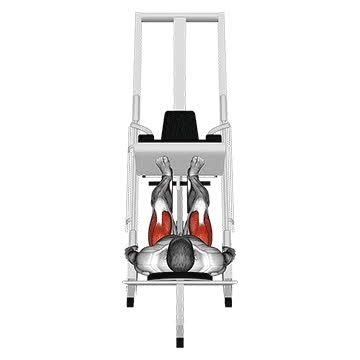 Leg Press (Glute Squeeze) - How To, Muscles Worked, Form Cues ...