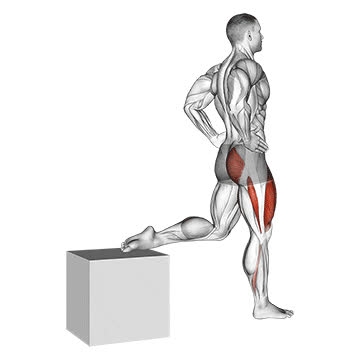 Single-Leg Squat - How To, Muscles Worked, Form Cues, Variations | Pumpd