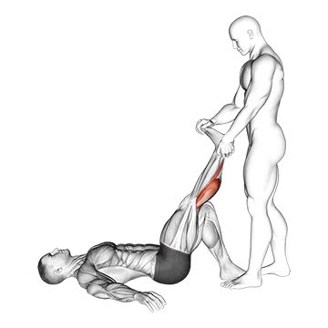 Assisted Lying Gastrocnemius Stretch - How To, Muscles Worked, Form ...