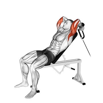 Cable Incline Tricep Extension (Rope Attachment) - How To, Muscles ...