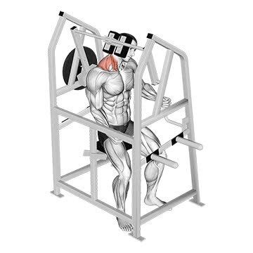 Right Side Lever Neck Flexion (Plate Loaded) - How To, Muscles Worked ...