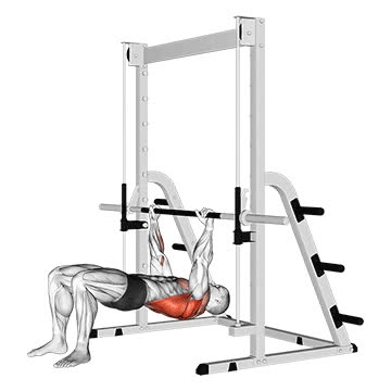Smith Machine Inverted Row Bent Knee - How To, Muscles Worked, Form ...