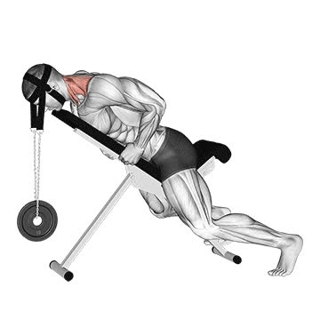 Weighted Lying Neck Extension (With Head Harness) - How To, Muscles ...