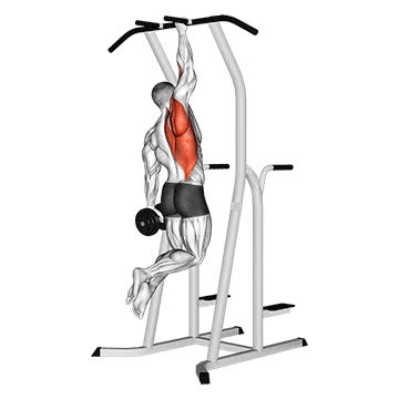 Weighted One Hand Pull-Up - How To, Muscles Worked, Form Cues ...