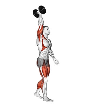 Dumbbell Single-Arm Overhead Carry - How To, Muscles Worked, Form Cues ...