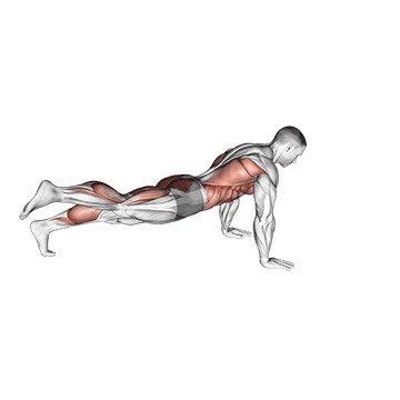 Power Point Plank - How To, Muscles Worked, Form Cues, Variations | Pumpd