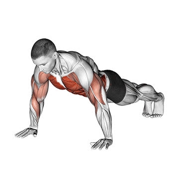 Shoulder Tap - How To, Muscles Worked, Form Cues, Variations | Pumpd